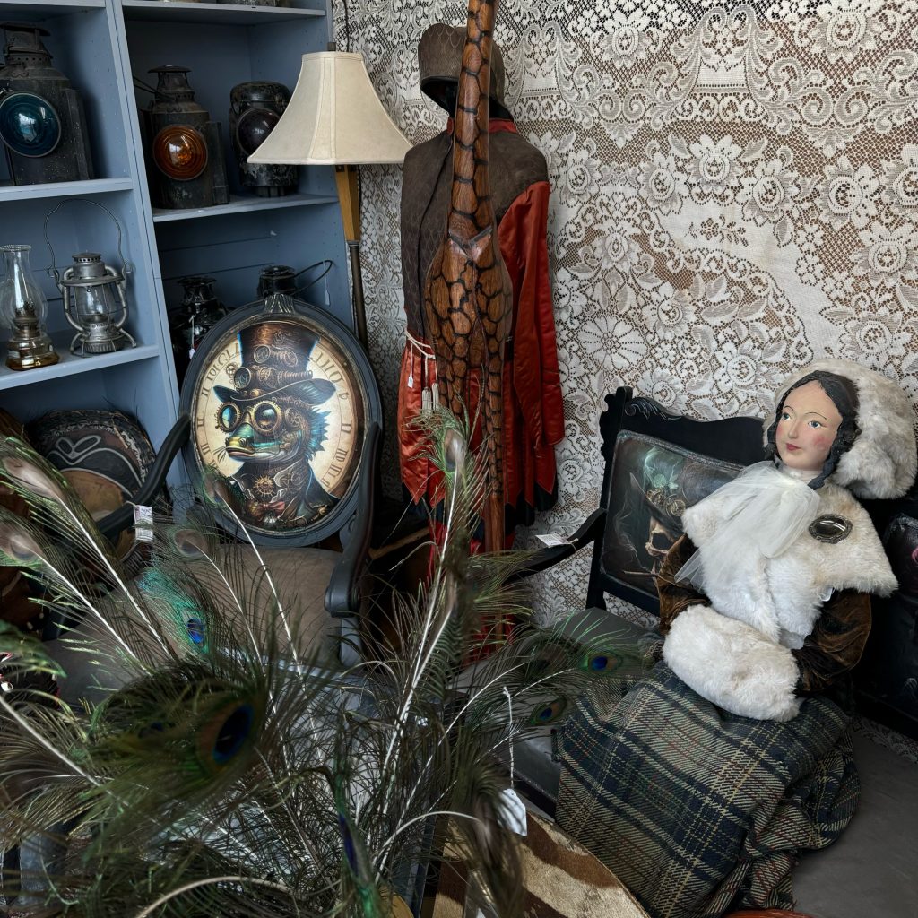 Antiques From The Rare to the Absurd - Cabinet of Curiosities